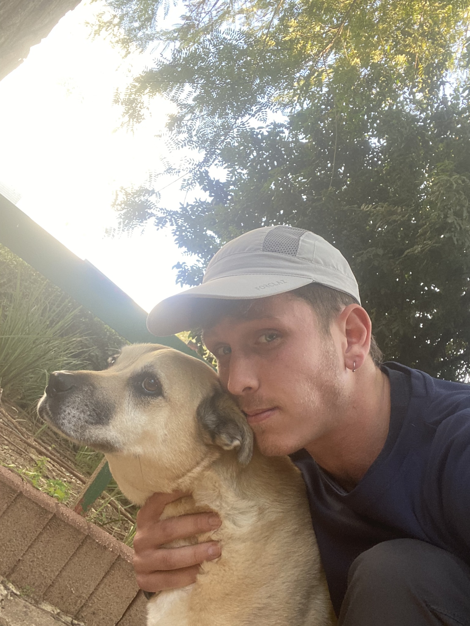 WalkDog | מתן אורן | דוגסיטר ודוגווקר מראשון לציון